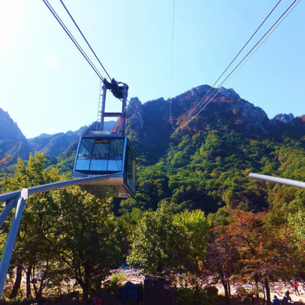 Korea Fall Foliage) Mt. Seoraksan – Autumn 1Day Tour – From Seoul (Oct ...