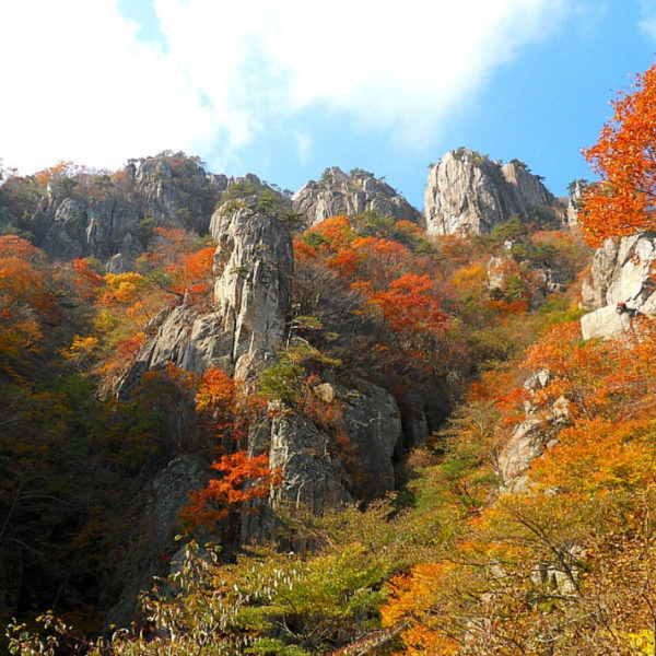 2020 Korea Fall Foliage) Mt. Daedunsan – Autumn 1Day Tour – From Seoul ...