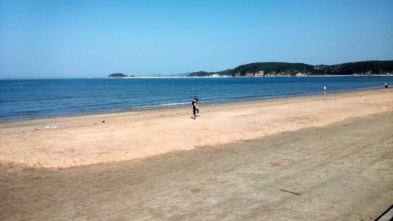 SPRING FESTIVAL SPECIAL: Taean Tulip festival and the West Sea area ...