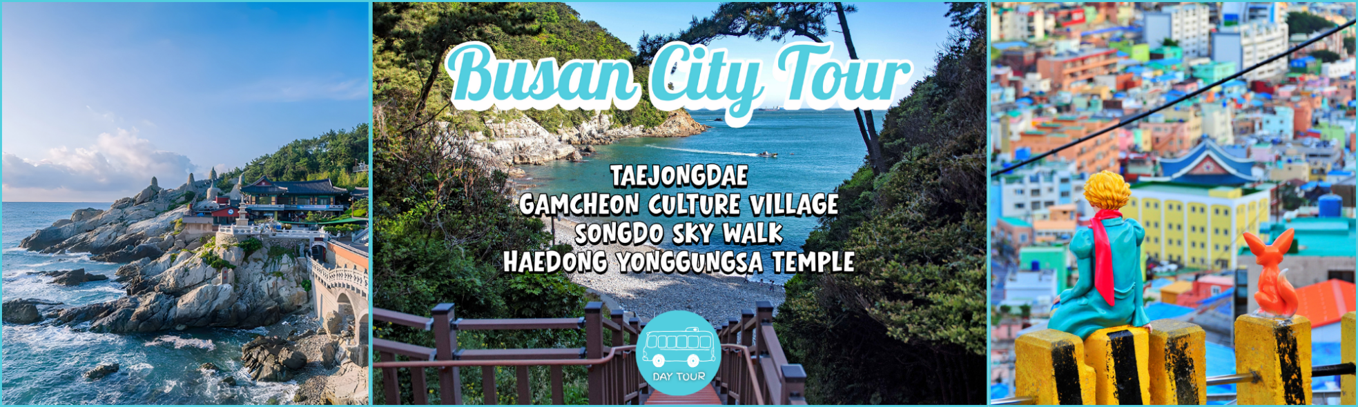 Busan Sky Capsule, Cherry Blossom and Spring Flowers Day Tour (Mar 26 ...