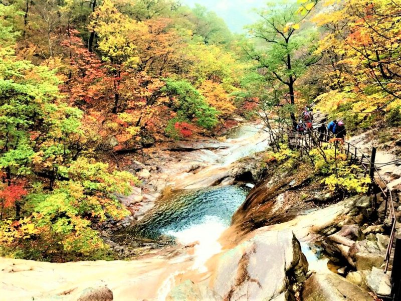 The Prettiest places to see Around Seoul – Nature and garden Special ...