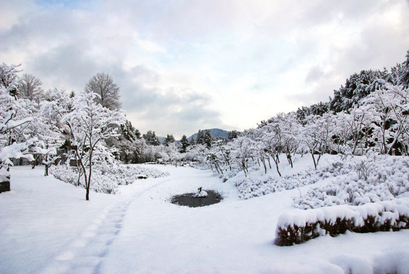 Vivaldi Park Ski Resort with Nami Island – 1Day Winter Tour Package ...