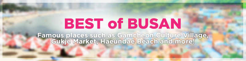 32% Off, Busan 1-day Private car and driver, choose between Best of ...