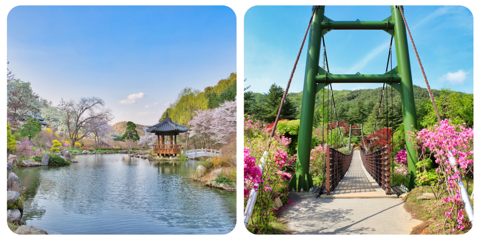 Nami Island, Garden of Morning Calm – Around Seoul 1Day Tour – From ...