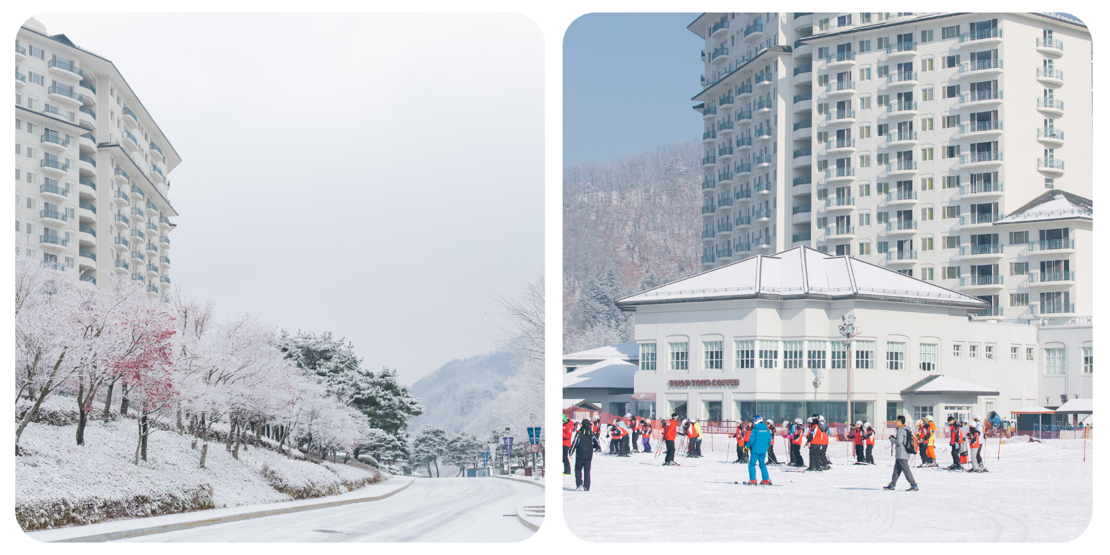 Elysian Gangchon Ski Resort with Eobi Valley – 1Day Winter Tour Package from Seoul | KoreaTravelEasy