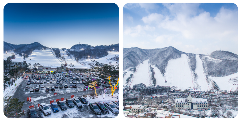 Jisan Ski Resort – 1Day Winter Tour Package from Seoul | KoreaTravelEasy