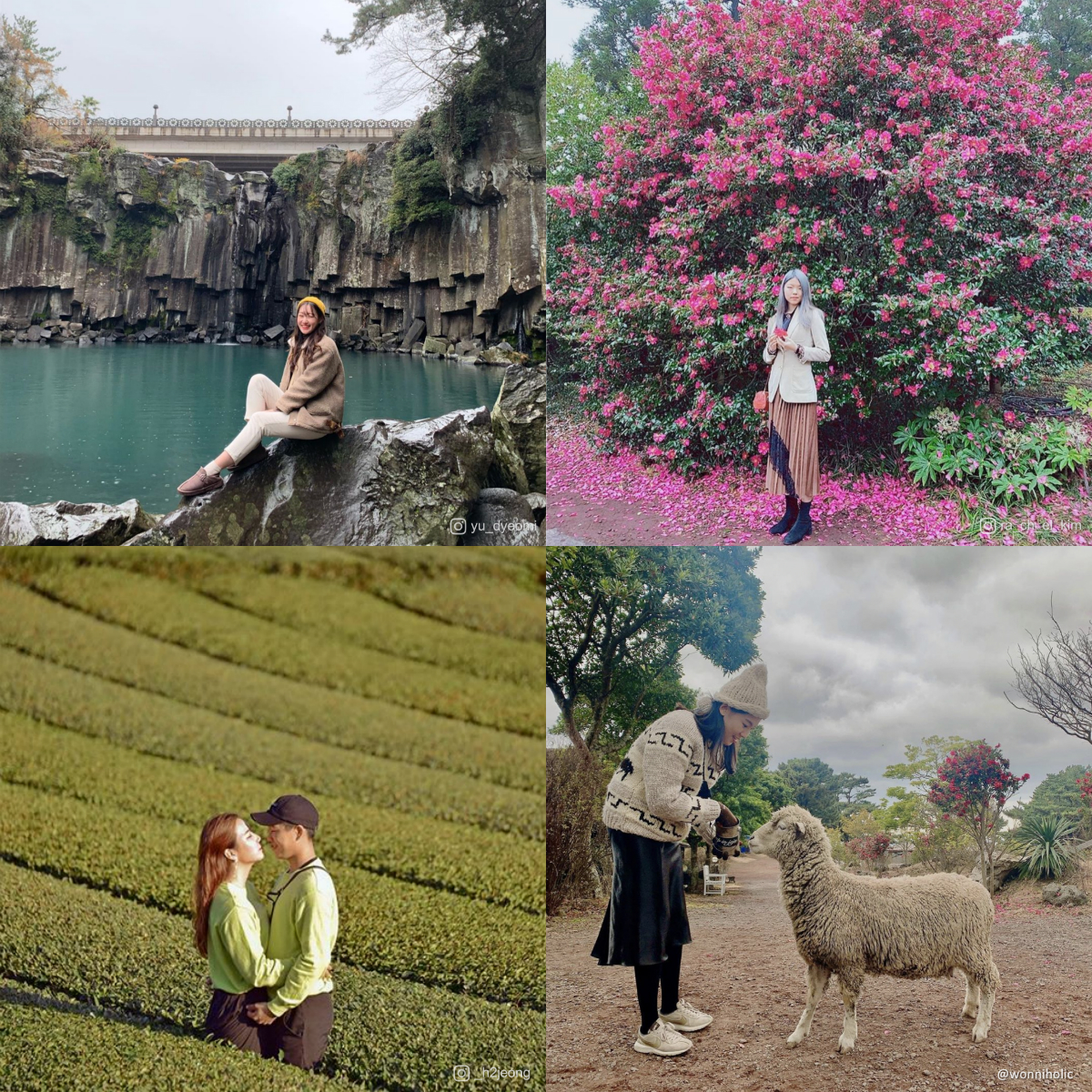 Jeju Island East and West 1 Day Bus Tour (Free Snap Photos ...