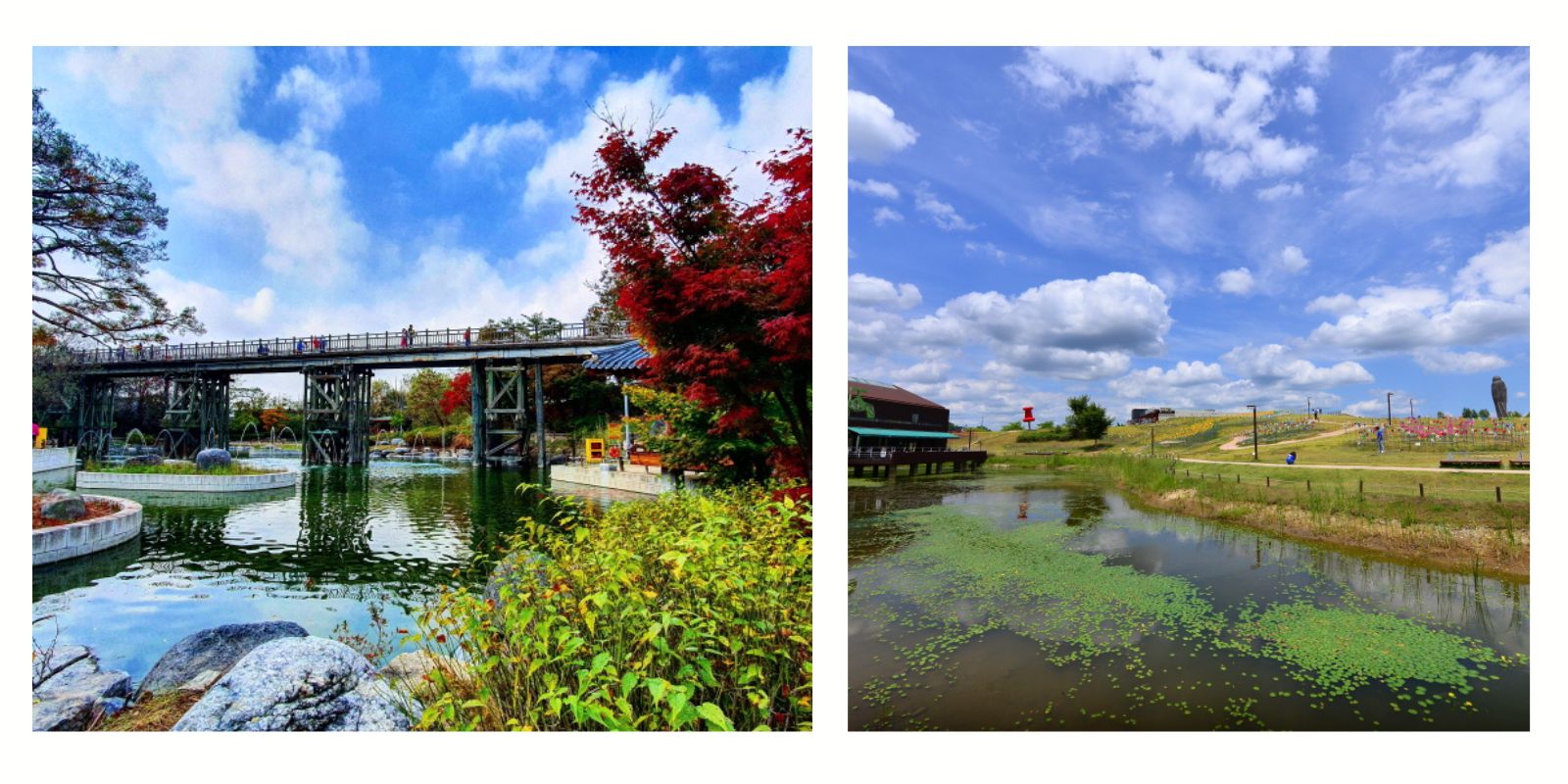 2022 The K-Culture festival K-pop day tour – NCT dream, Zico, Monster X ...