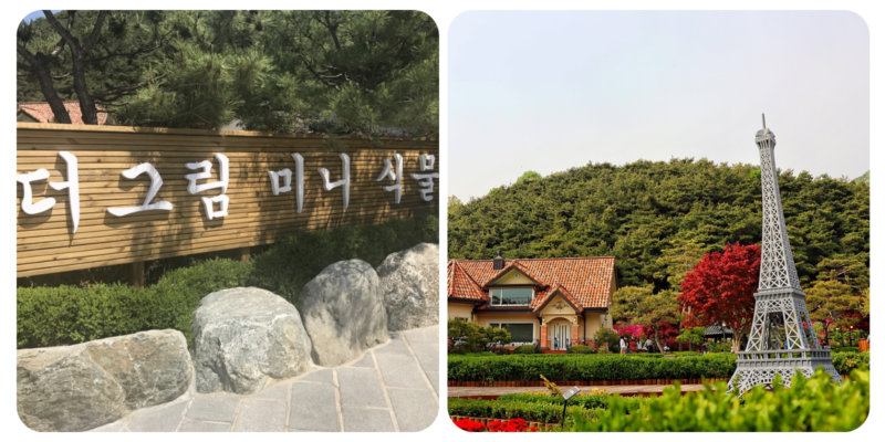 Yangpyeong Sheep Farm, The Greem and Dumulmeori One Day Tour from Seoul ...