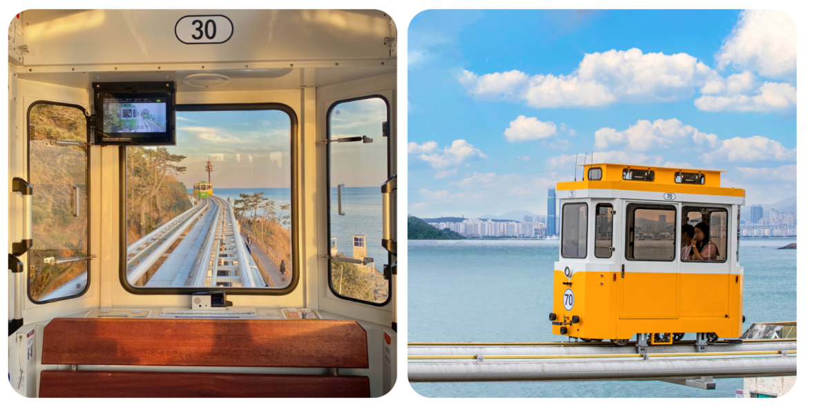 Busan Haeundae Train Sky Capsule, Cherry Blossom and Spring Flowers Day ...