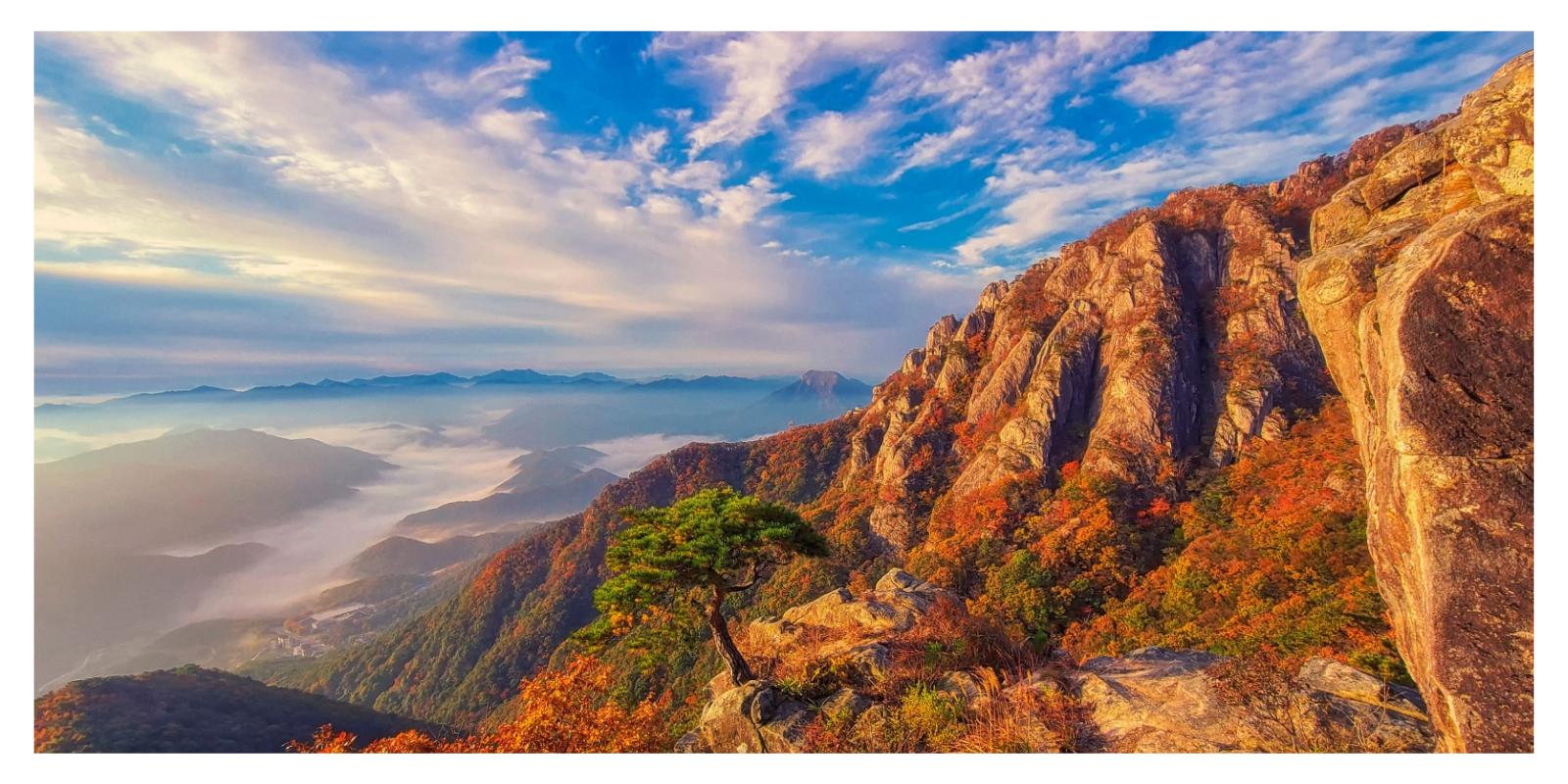 2025 Korea Fall Foliage one day tour from Seoul (14 Oct ~ 26 Nov ...