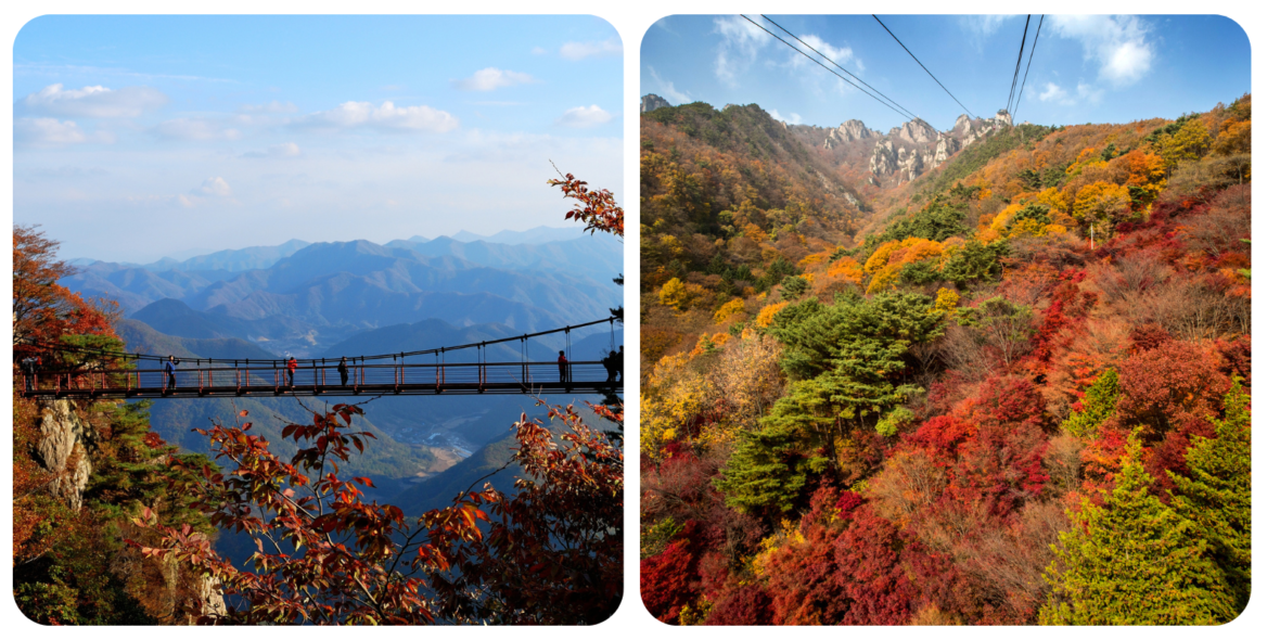 2025 Korea Fall Foliage one day tour from Seoul (14 Oct ~ 26 Nov ...