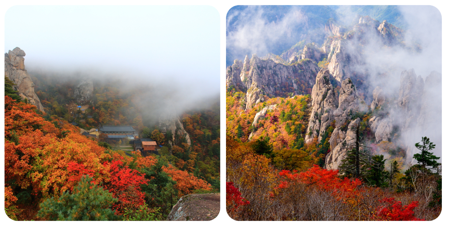 2025 Korea Fall Foliage one day tour from Seoul (14 Oct ~ 26 Nov ...