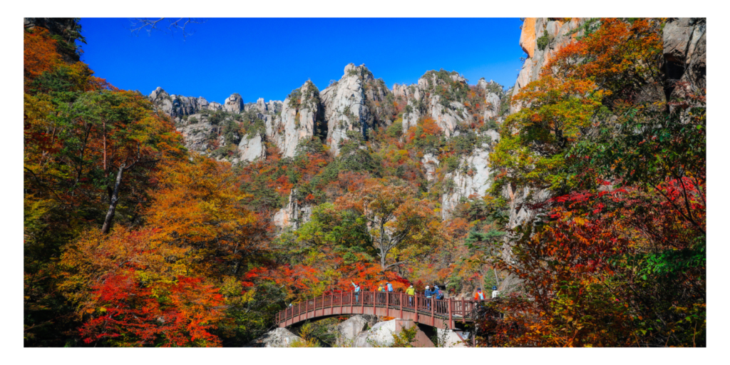 2025 Korea Fall Foliage one day tour from Seoul (14 Oct ~ 26 Nov ...