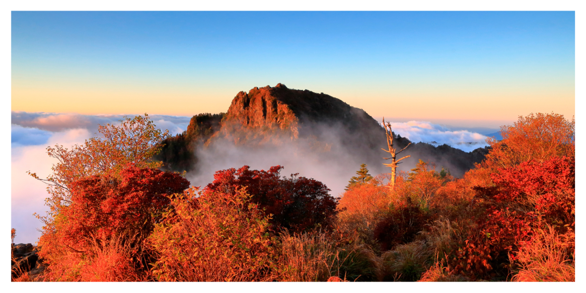 2025 Korea Fall Foliage one day tour from Busan(26 Oct ~ 23 Nov ...