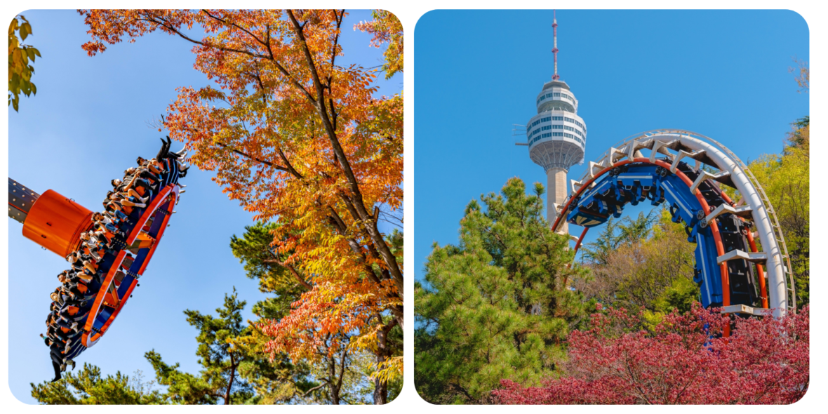 Daegu E World with 83 Tower Observatory Ticket One day Tour From Busan ...