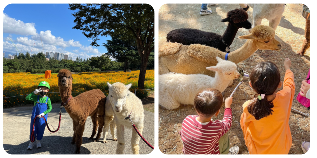 Daegu E World with 83 Tower Observatory Ticket One day Tour From Busan ...