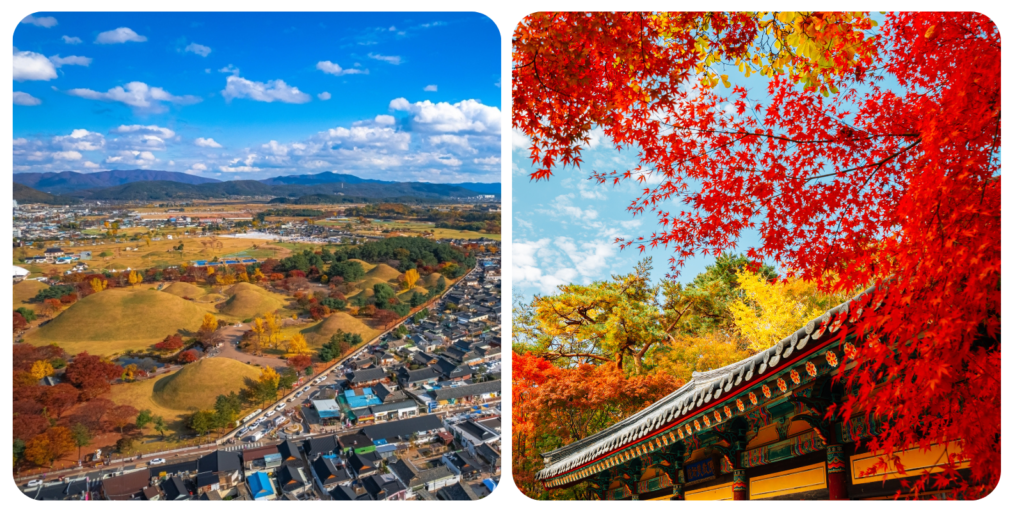 2023 Fall Foliage Busan – best Autumn spot day tour ( Everyday 28 Oct ...