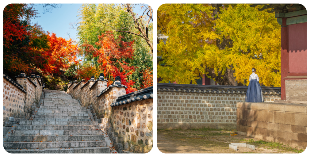 2023 Fall Foliage Busan – best Autumn spot day tour ( Everyday 28 Oct ...