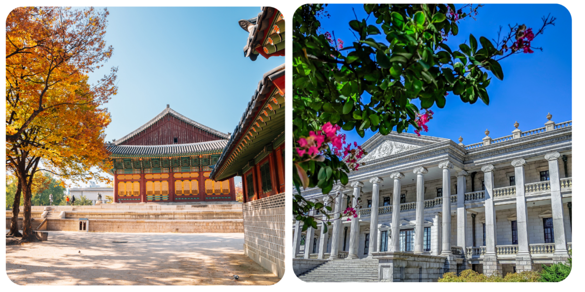 Deoksugung – Seoul Palace Half Day Night Walking Tour with Tour Guide ...