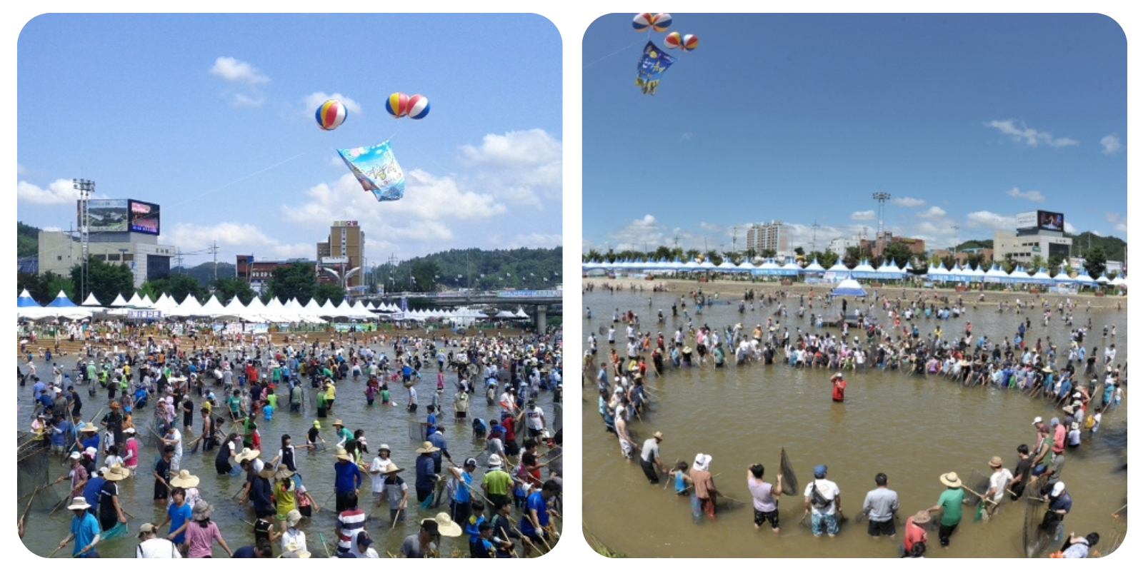 2025 Bonghwa Sweetfish Festival Day Tour (26th & 27th July ...