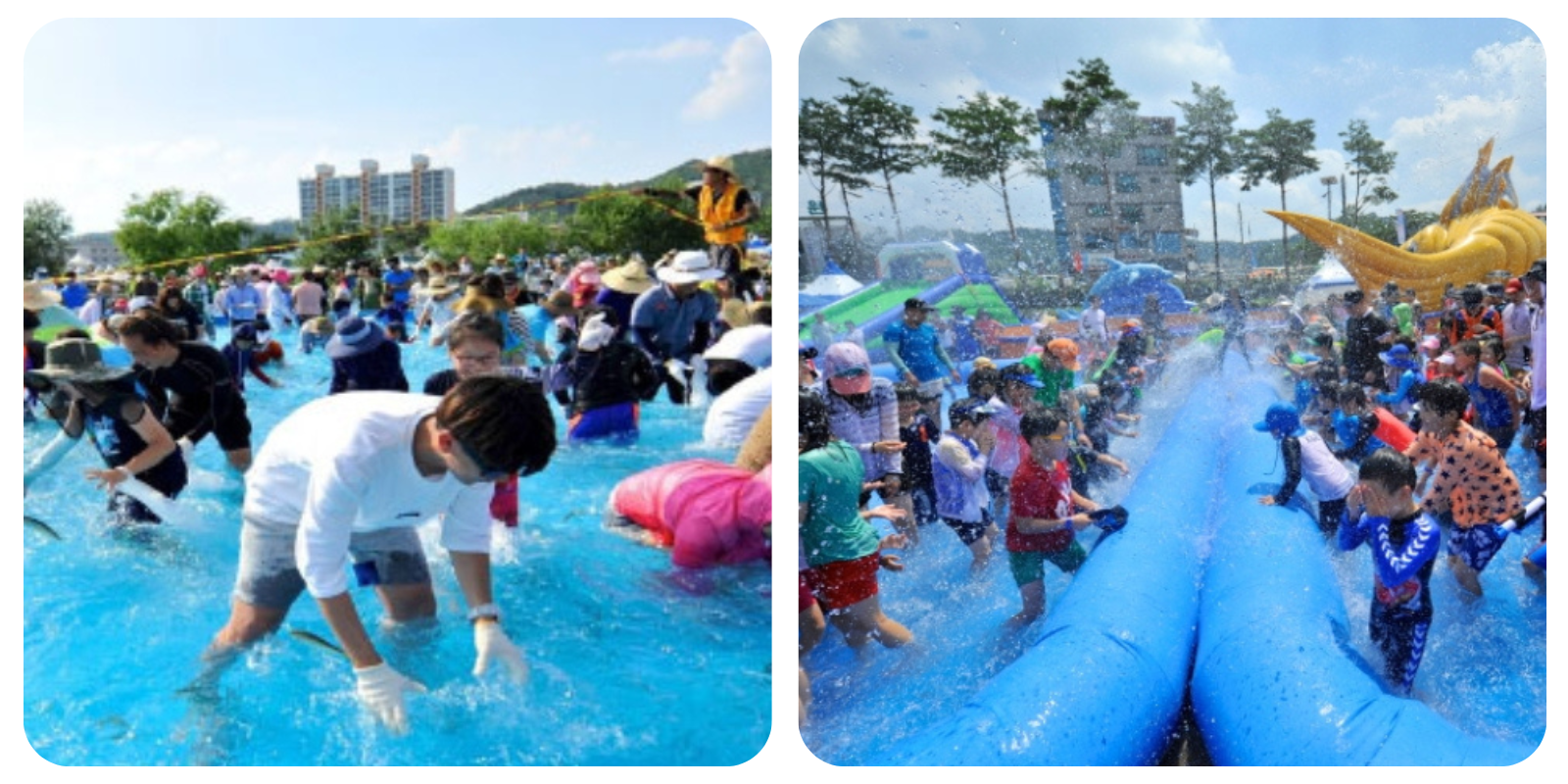 2025 Bonghwa Sweetfish Festival Day Tour (26th & 27th July ...