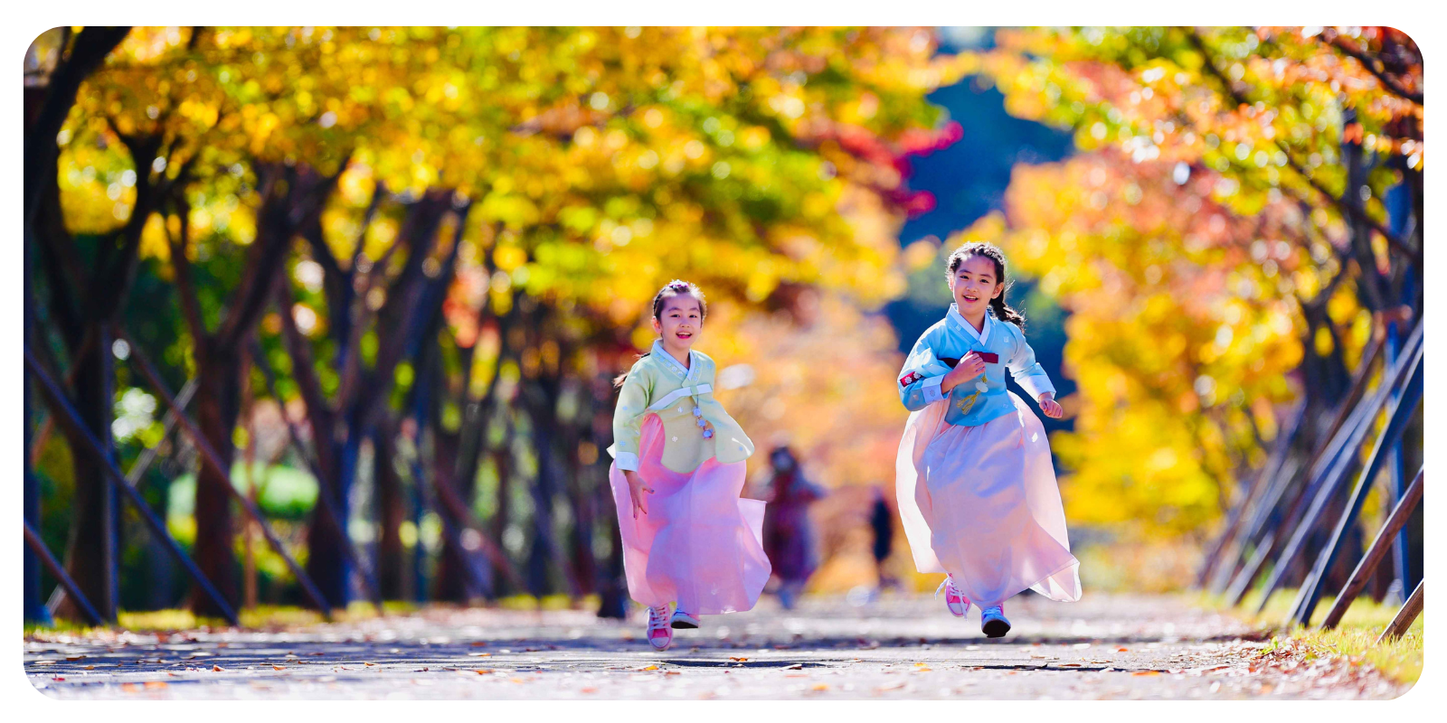 Celebrating Seollal: Korean New Year Traditions and Celebrations ...
